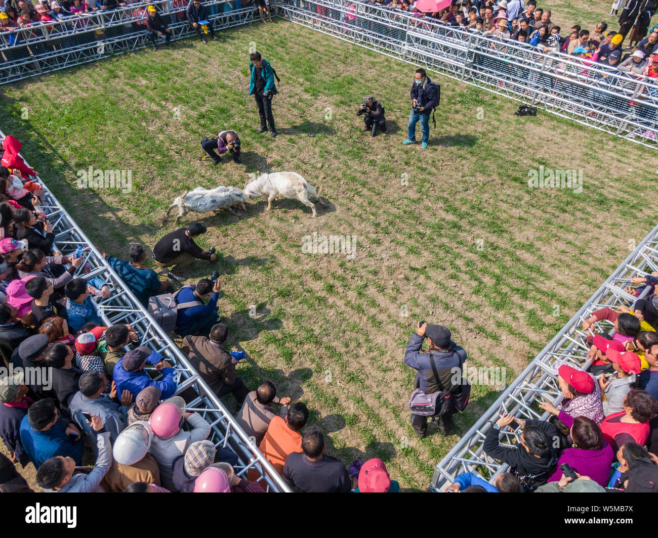 Goat fight hi-res stock photography and images - Alamy