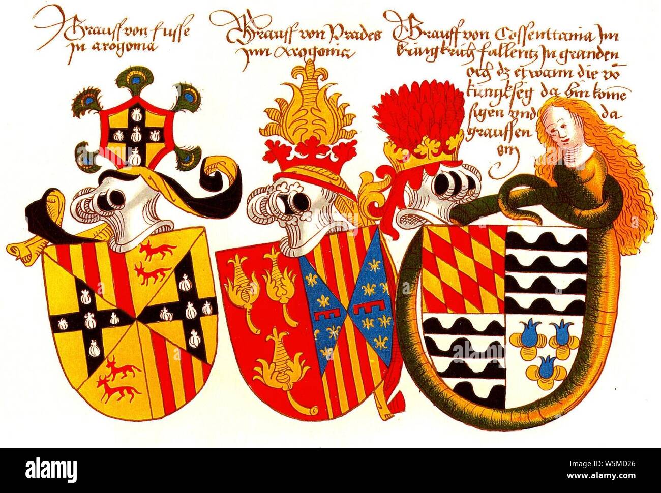 Címerek Grünenberg címerkönyvéből Stock Photo - Alamy
