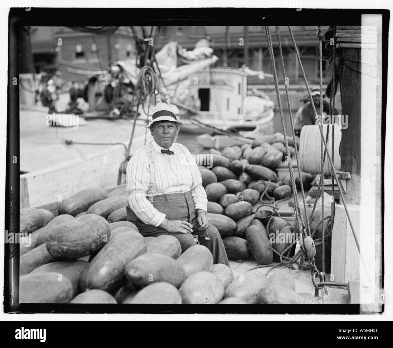 Faunce hi-res stock photography and images - Alamy