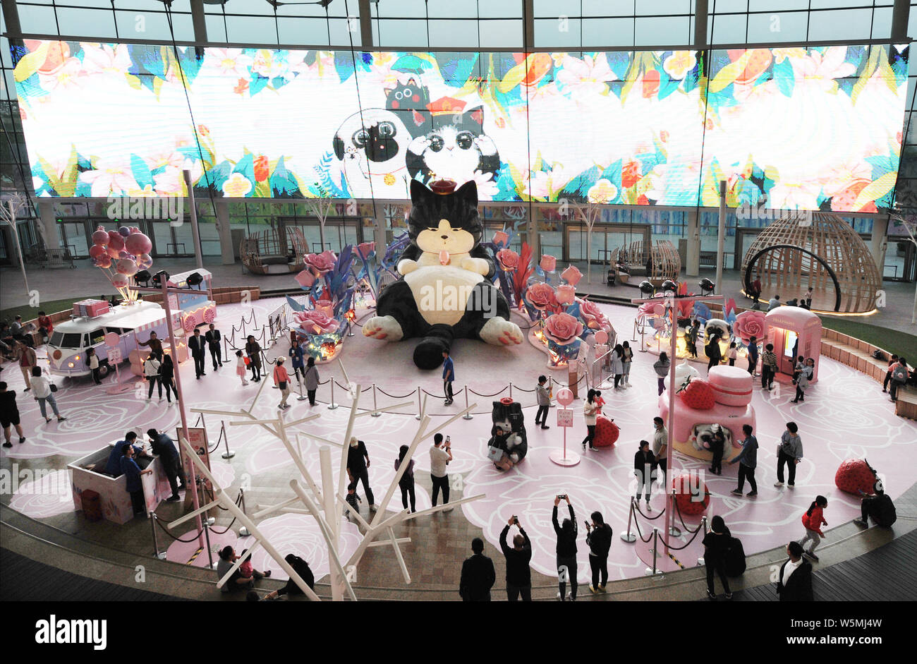 View of a huge "Wuhuang Wanshui" cat, a manga character created by a ...