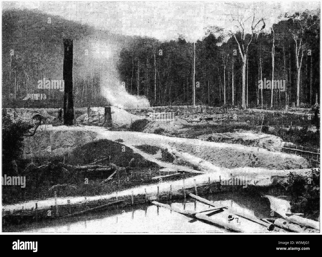 Perak Cut Out Stock Images & Pictures - Alamy