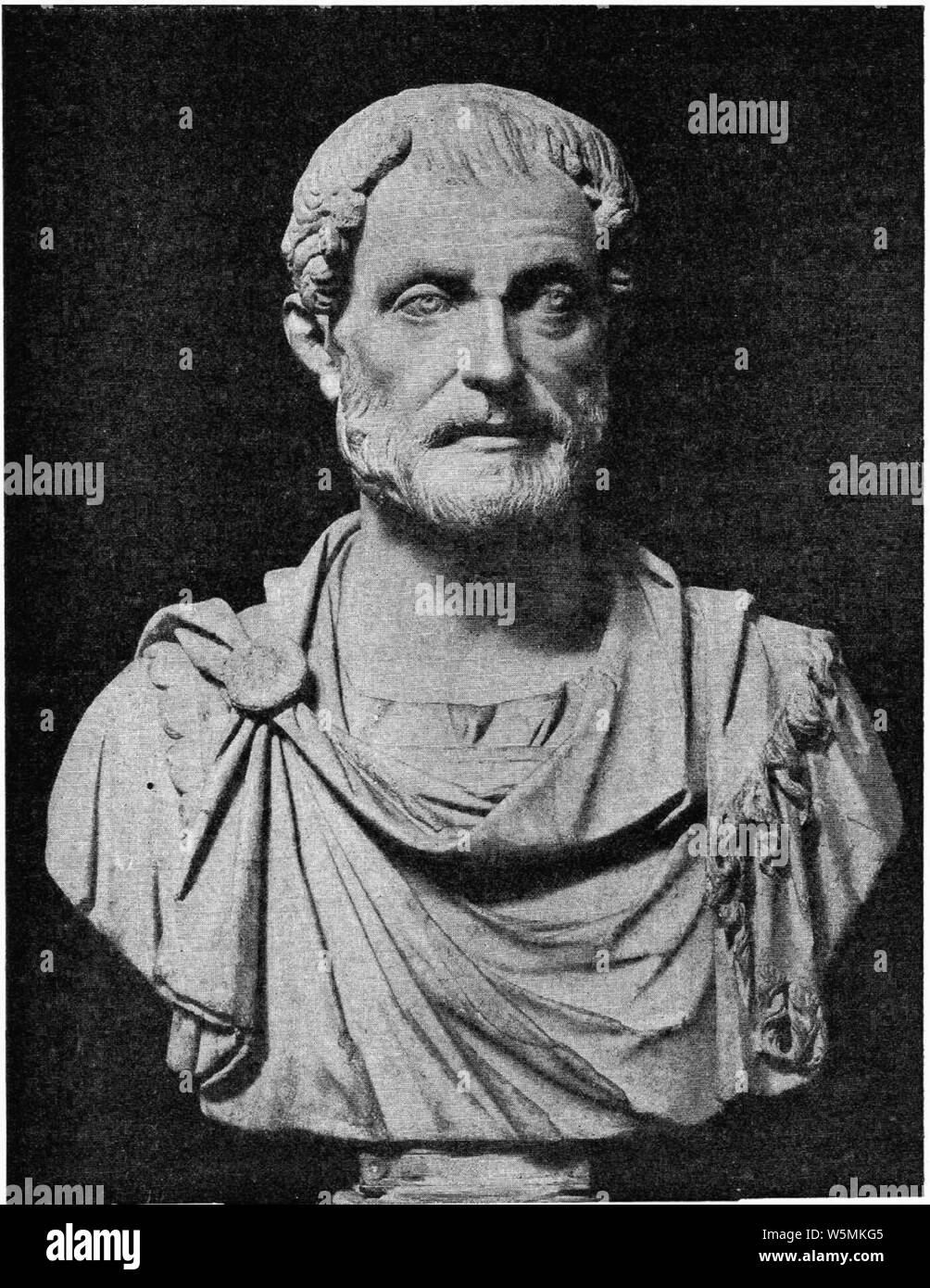 Probus hi-res stock photography and images - Alamy