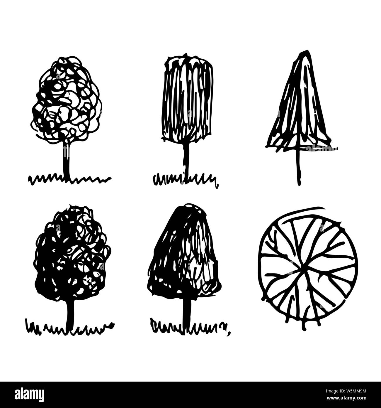 Hand drawn tree icon Stock Vector Image & Art - Alamy