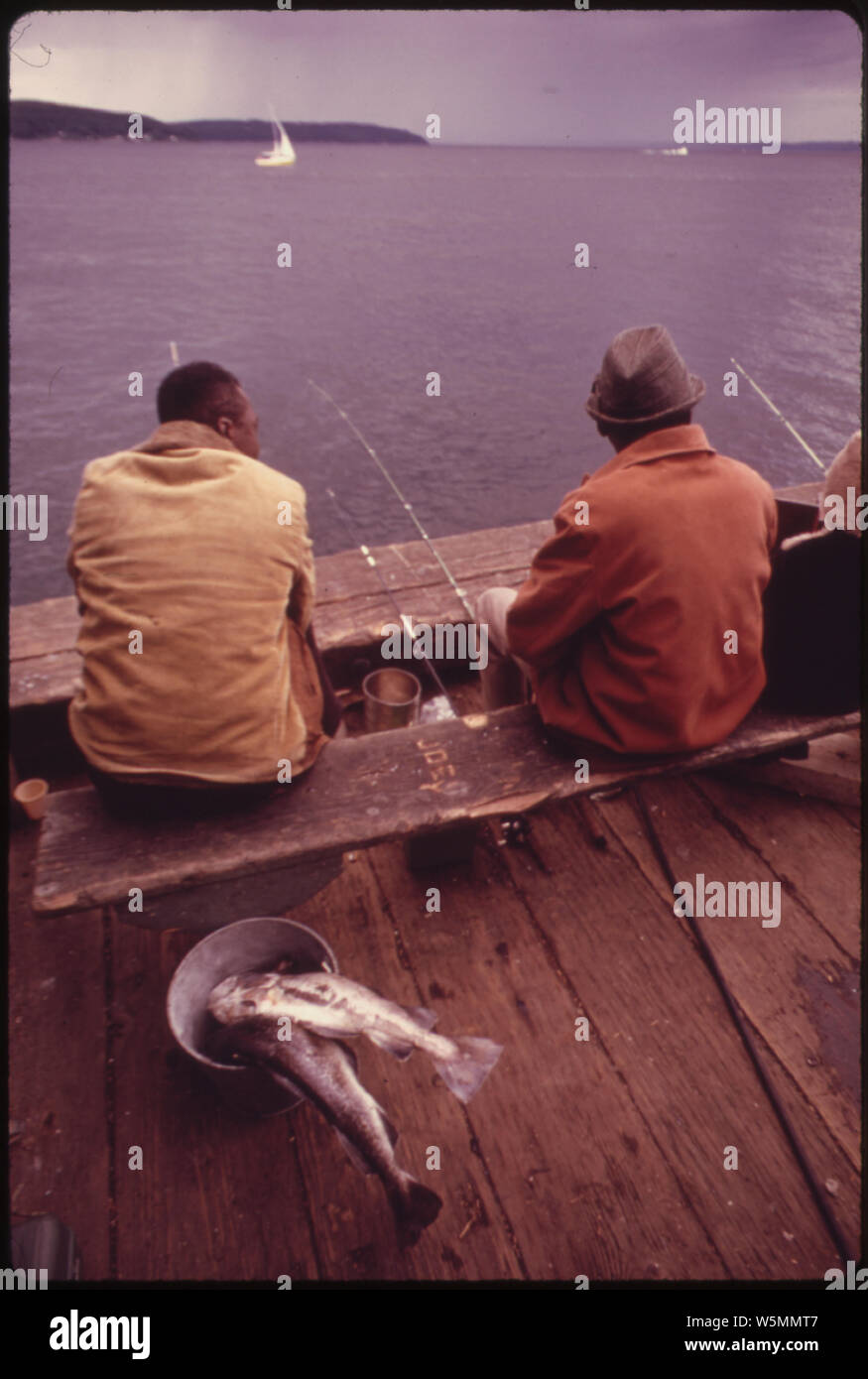 FISHING FROM PIER AT POINT DEFIANCE PARK ON PUGET SOUND. COD PERCH, AND ...