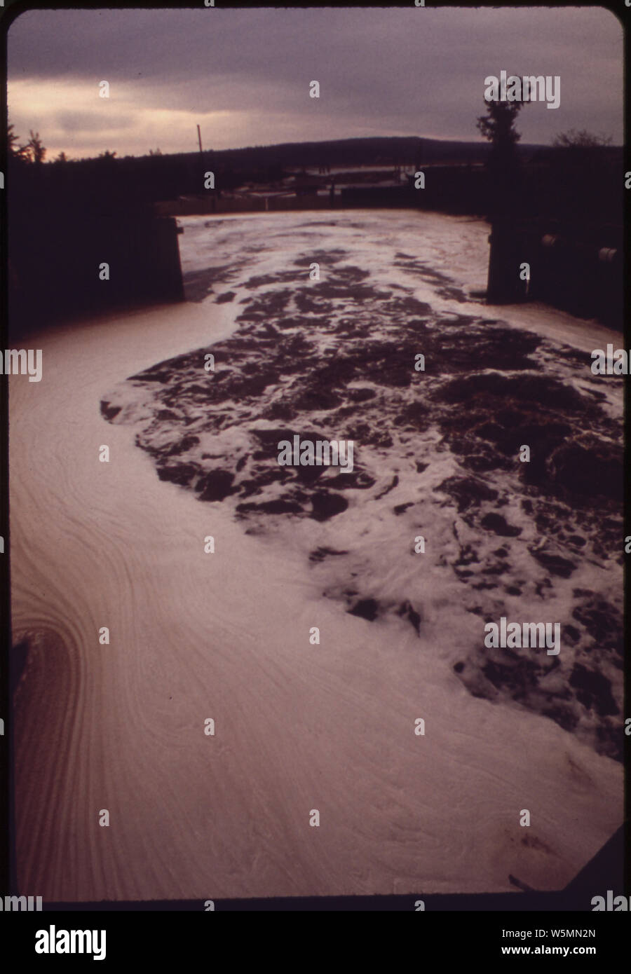 FROM THE WEYERHAEUSER COMPANY KRAFT PULPMILL SECONDARY- TREATED WATER ...