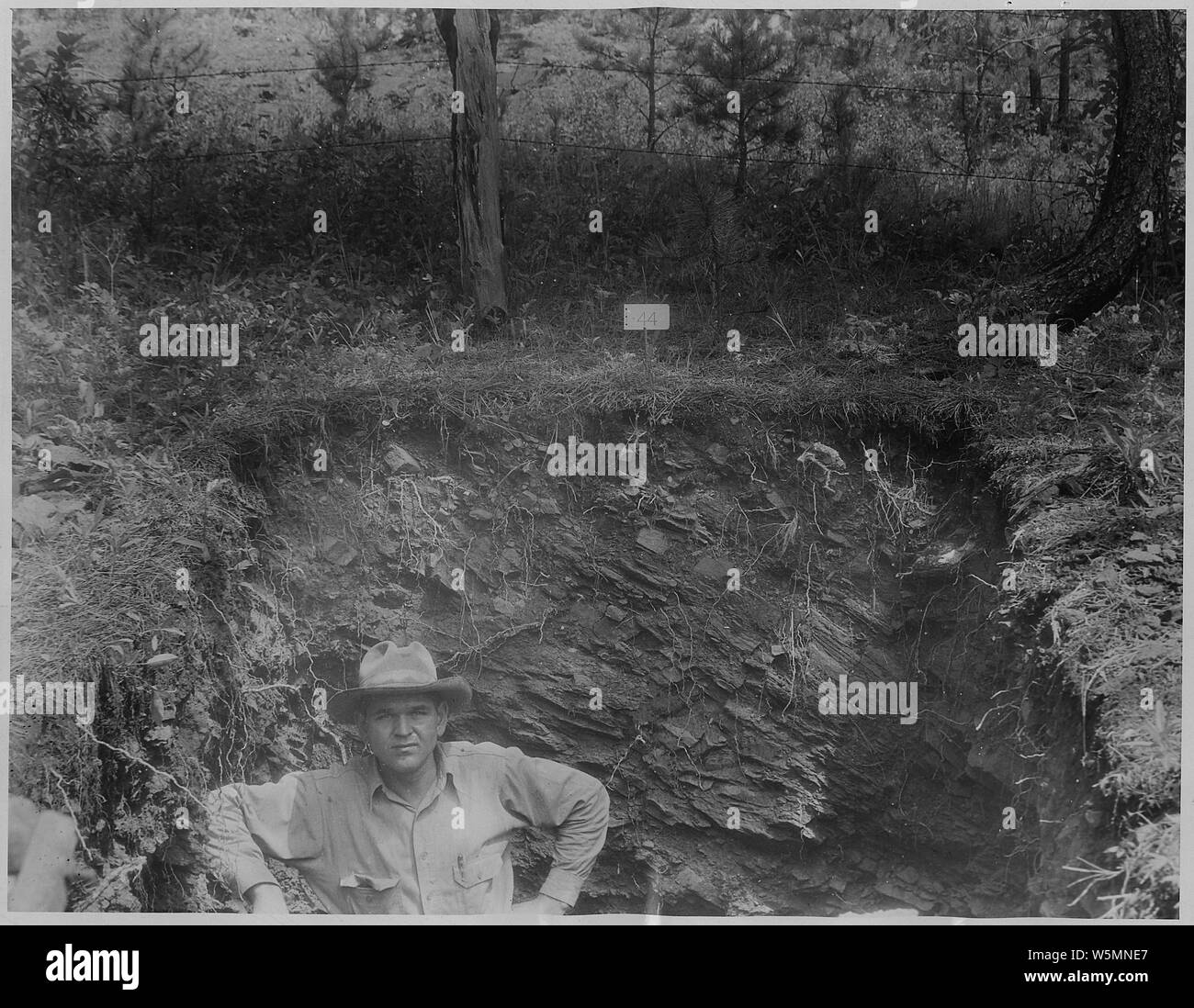 Face discovery cut in hi-res stock photography and images - Alamy