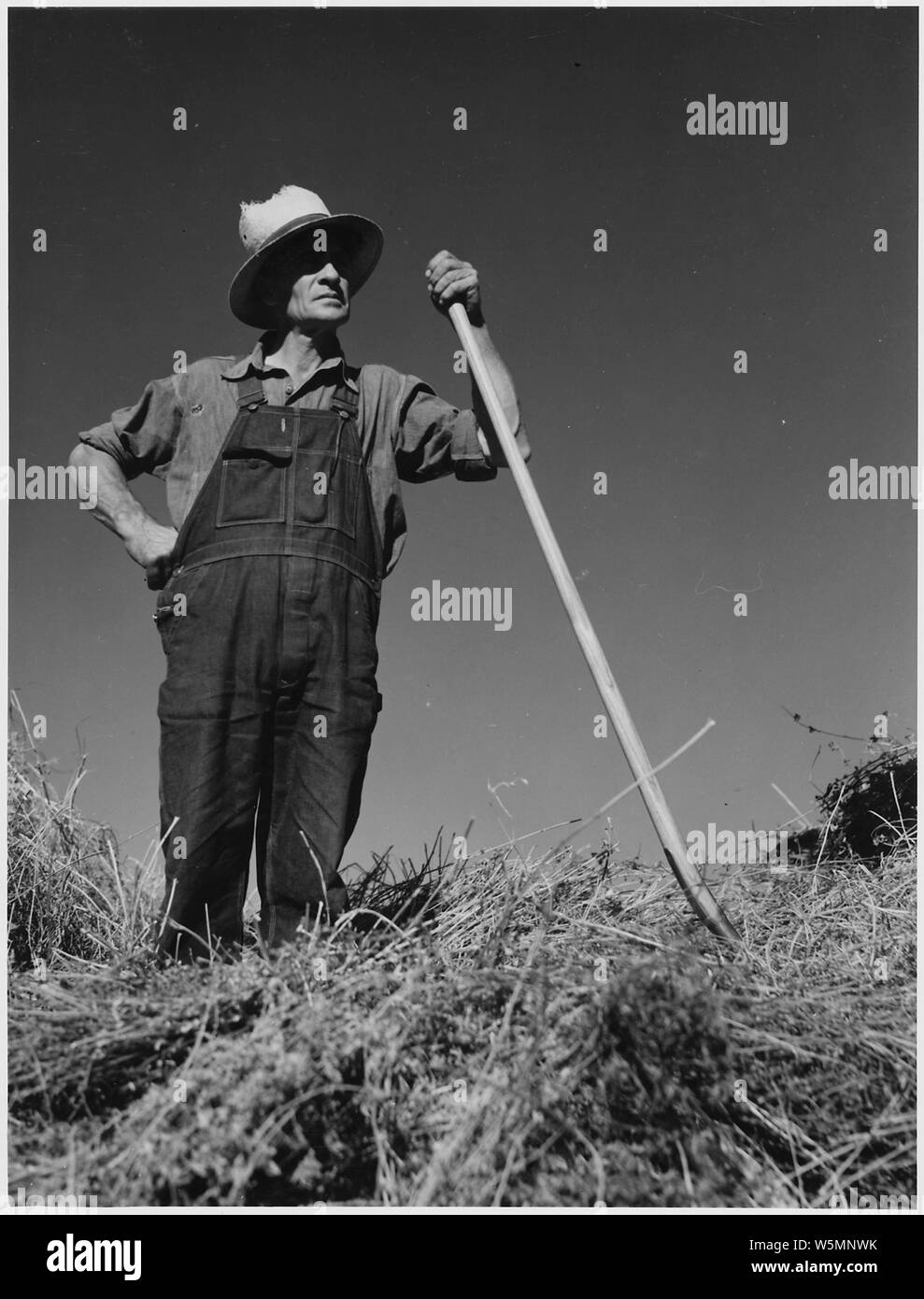 Farm Security Administration: Farm hand in Goldendale, Washington Stock ...