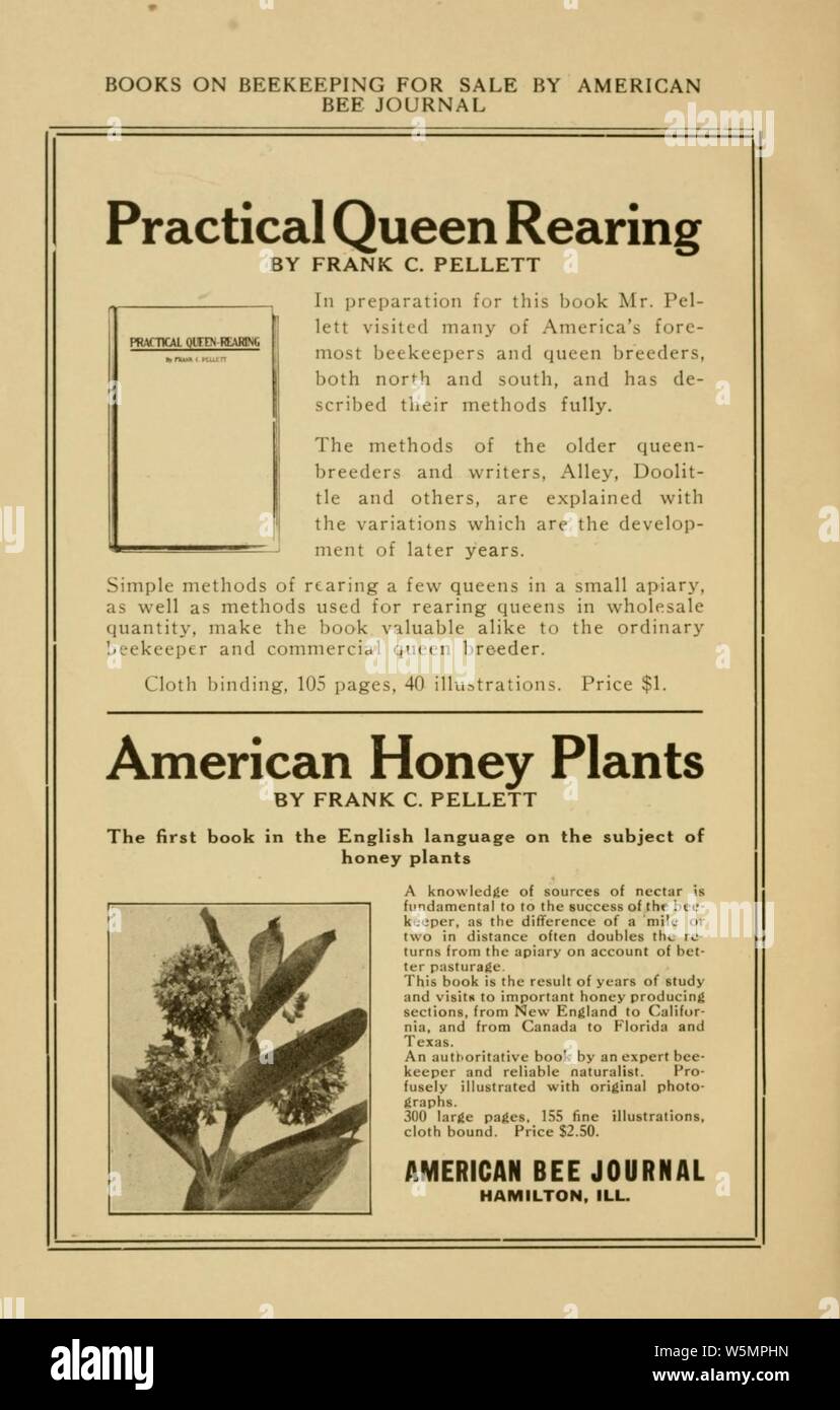 Dadant hi-res stock photography and images - Alamy