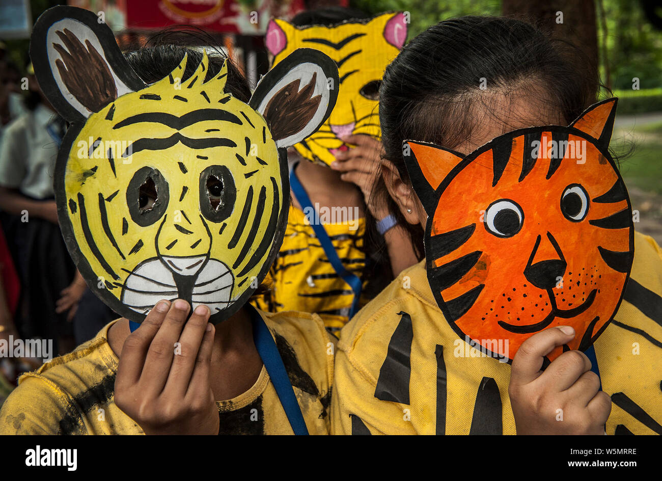 Tiger masks hi-res stock photography and images - Alamy