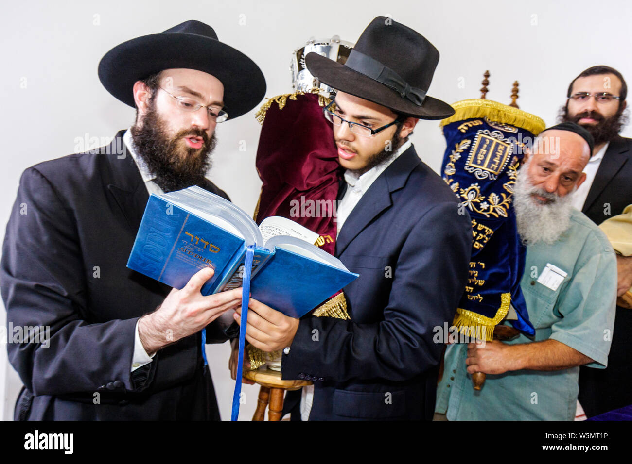 Miami Beach Florida,celebration,ceremony,completion,new Sefer Torah ...
