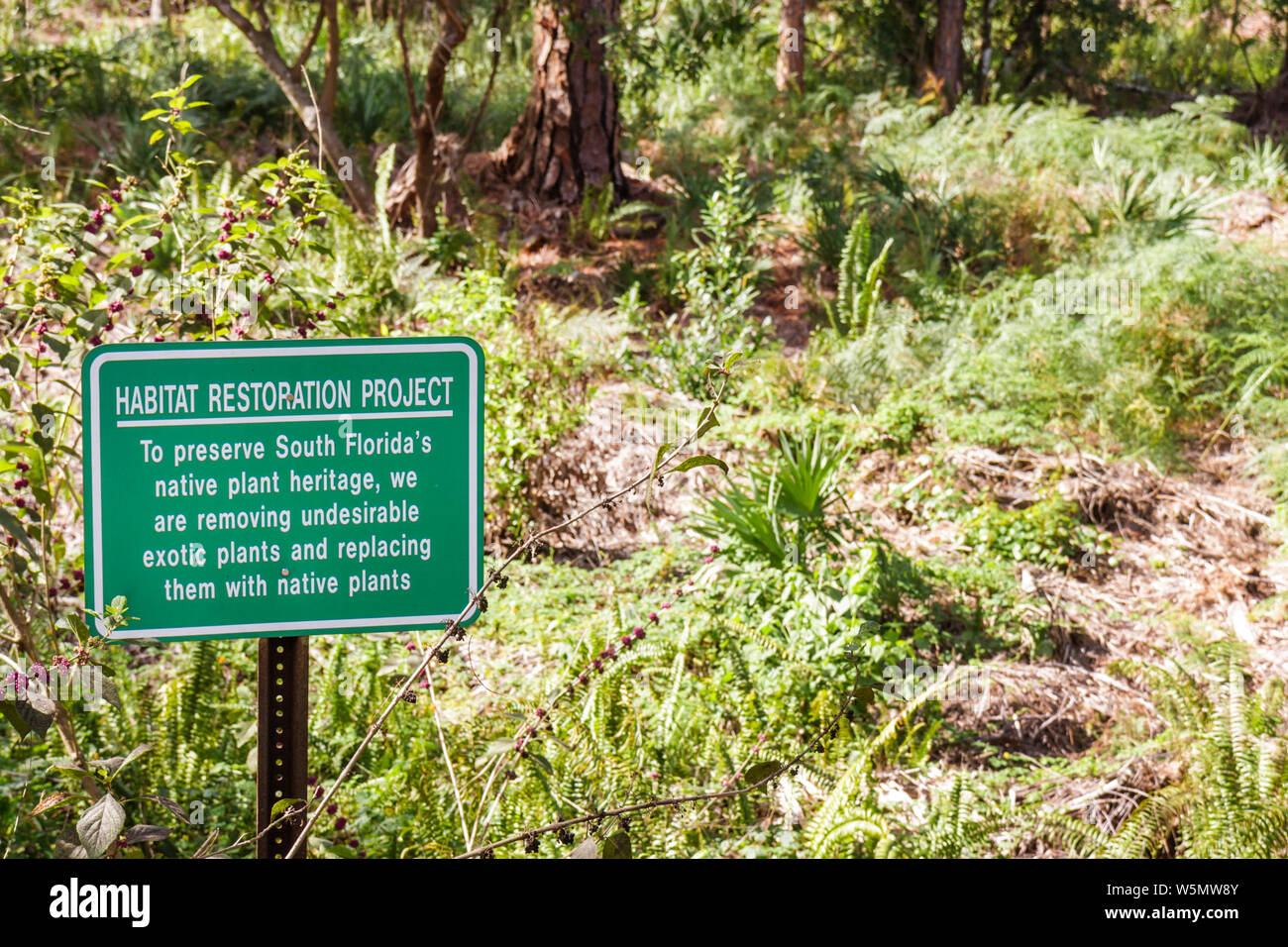 Plant restoration sign hi-res stock photography and images - Alamy