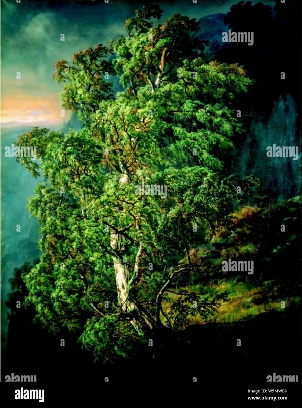 Bjerk hi-res stock photography and images - Alamy