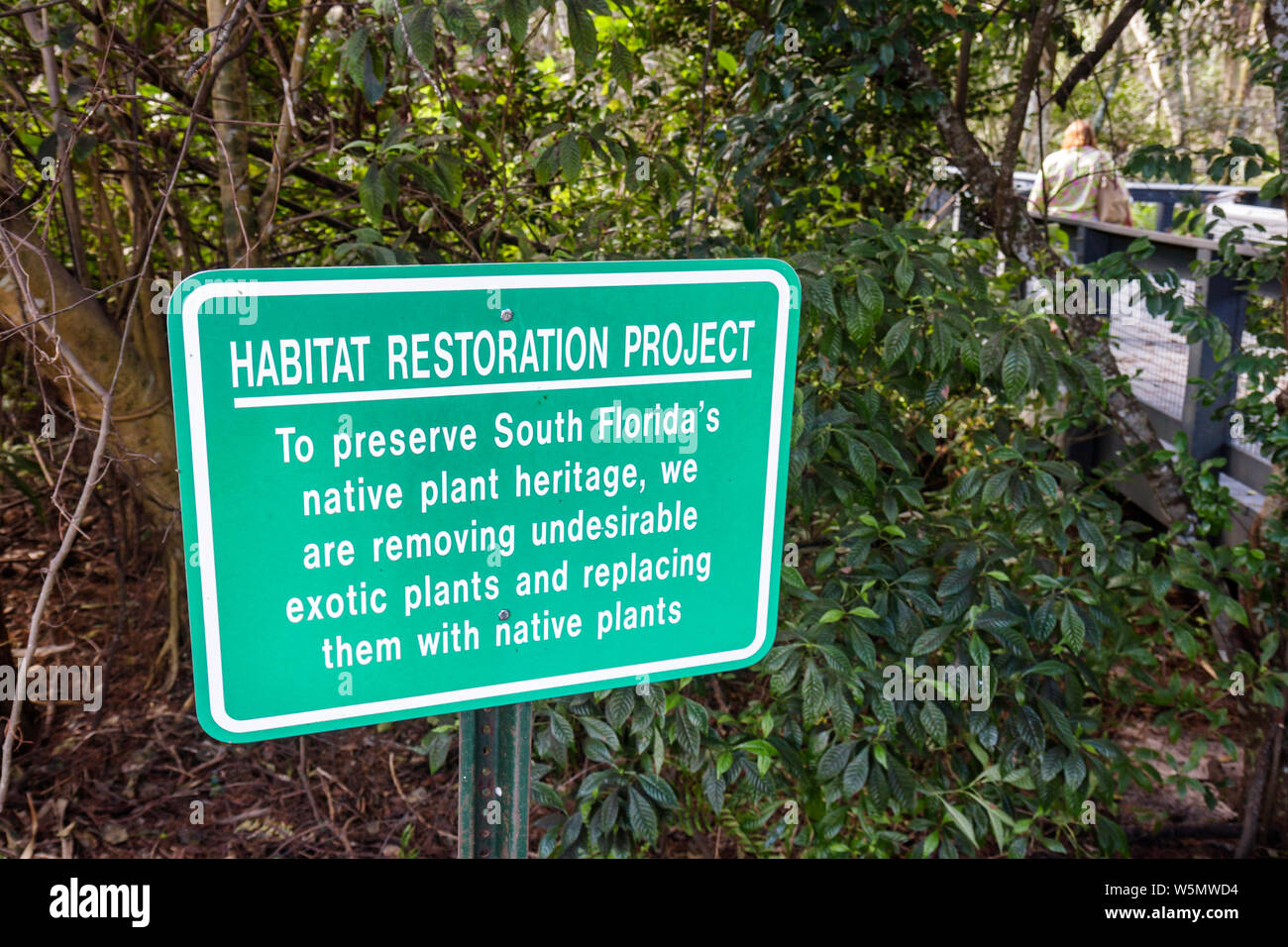 Fort Ft. Lauderdale Florida,Coral Springs,Tall Cypress Natural Area ...