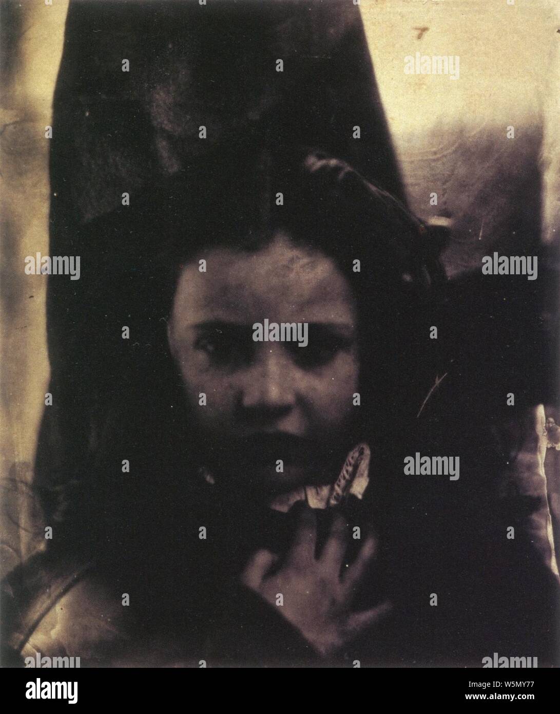 Daisy margaret hi-res stock photography and images - Alamy