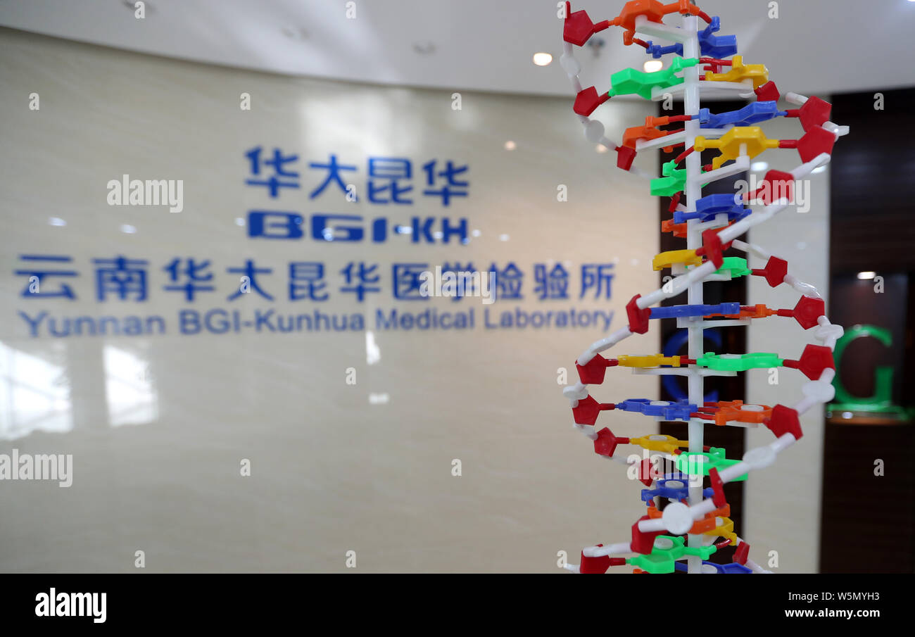 --FILE--View of the Yunnan BGI-Kunhua Medical Laboratory in Kunming ...