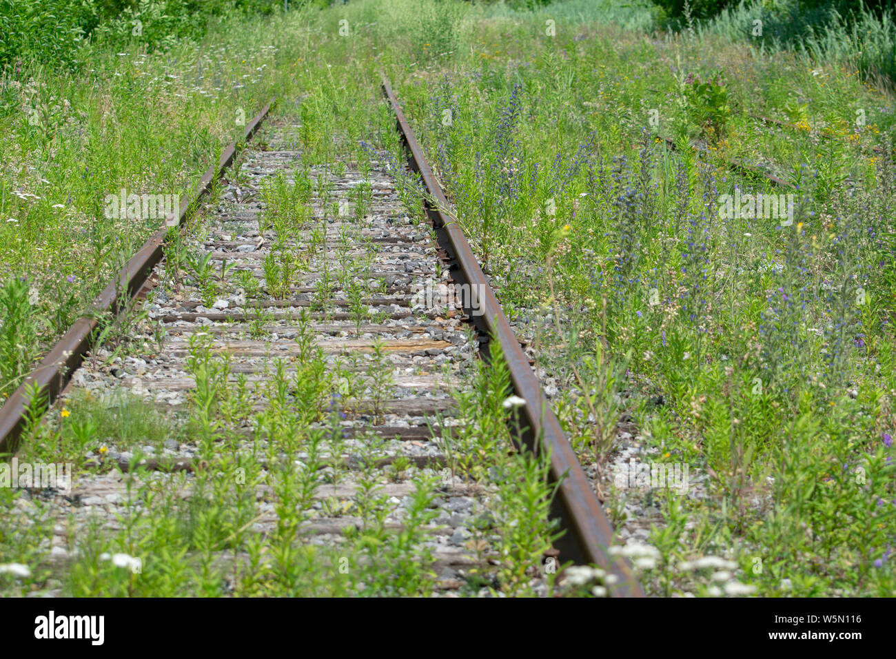 Railroad tracks out service hi-res stock photography and images - Alamy