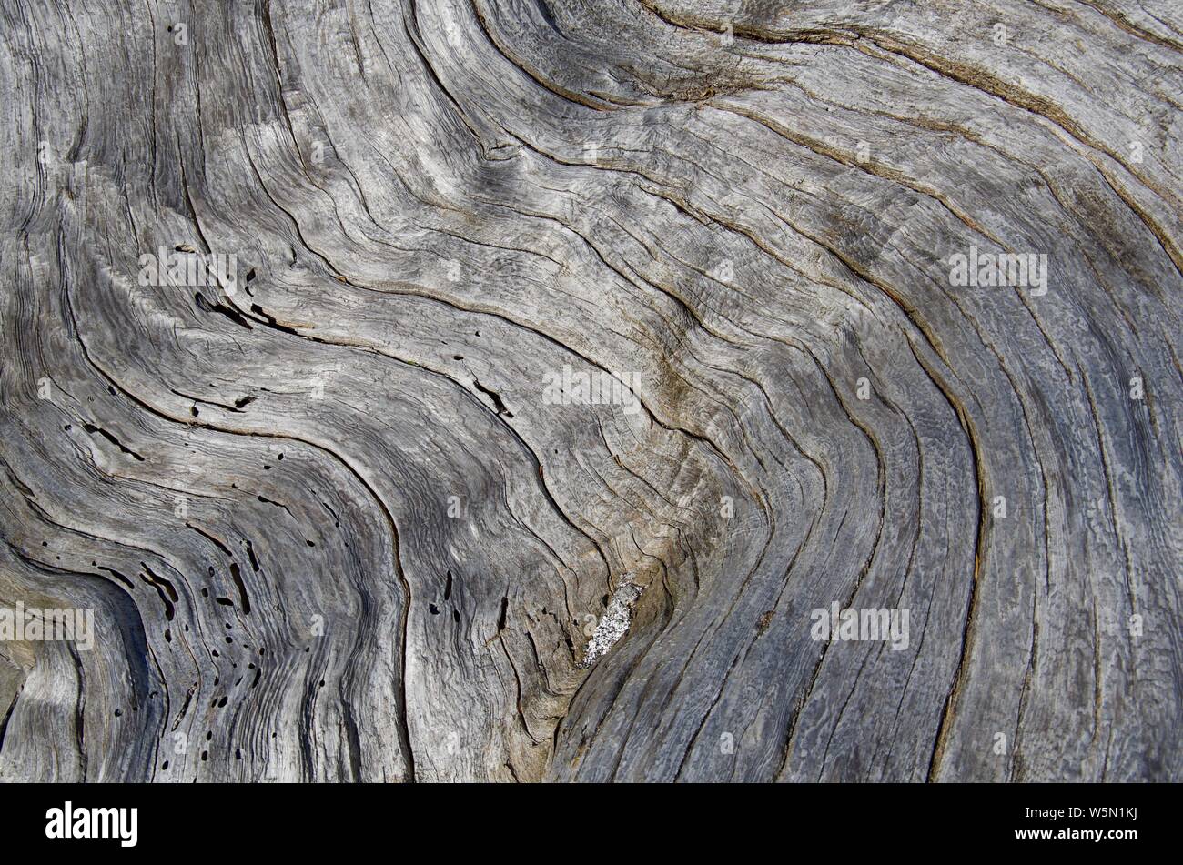 Woodgrain patterns hi-res stock photography and images - Alamy