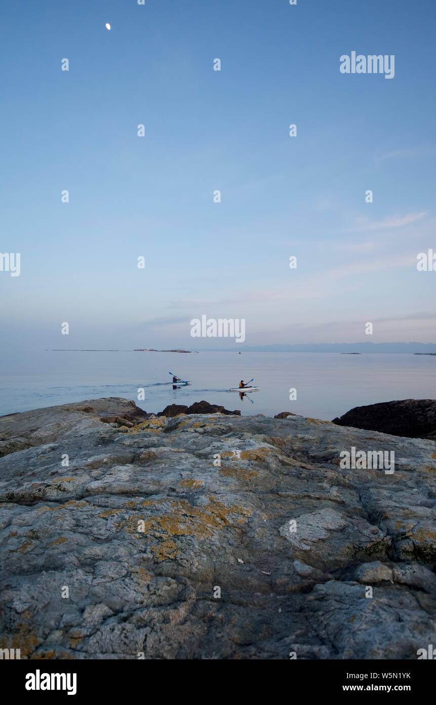 Cattle paddling hi-res stock photography and images - Alamy