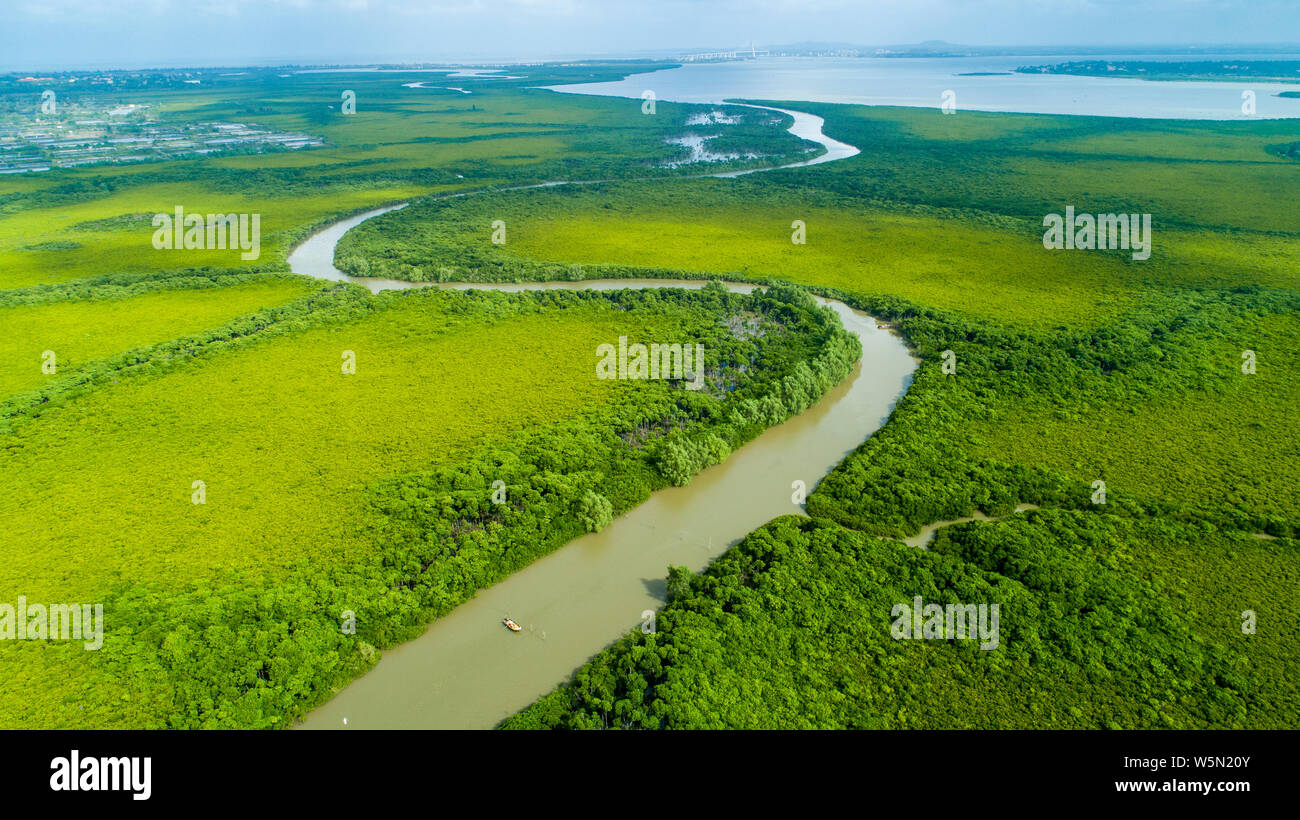 Mangrove nature reserve china hi-res stock photography and images - Alamy