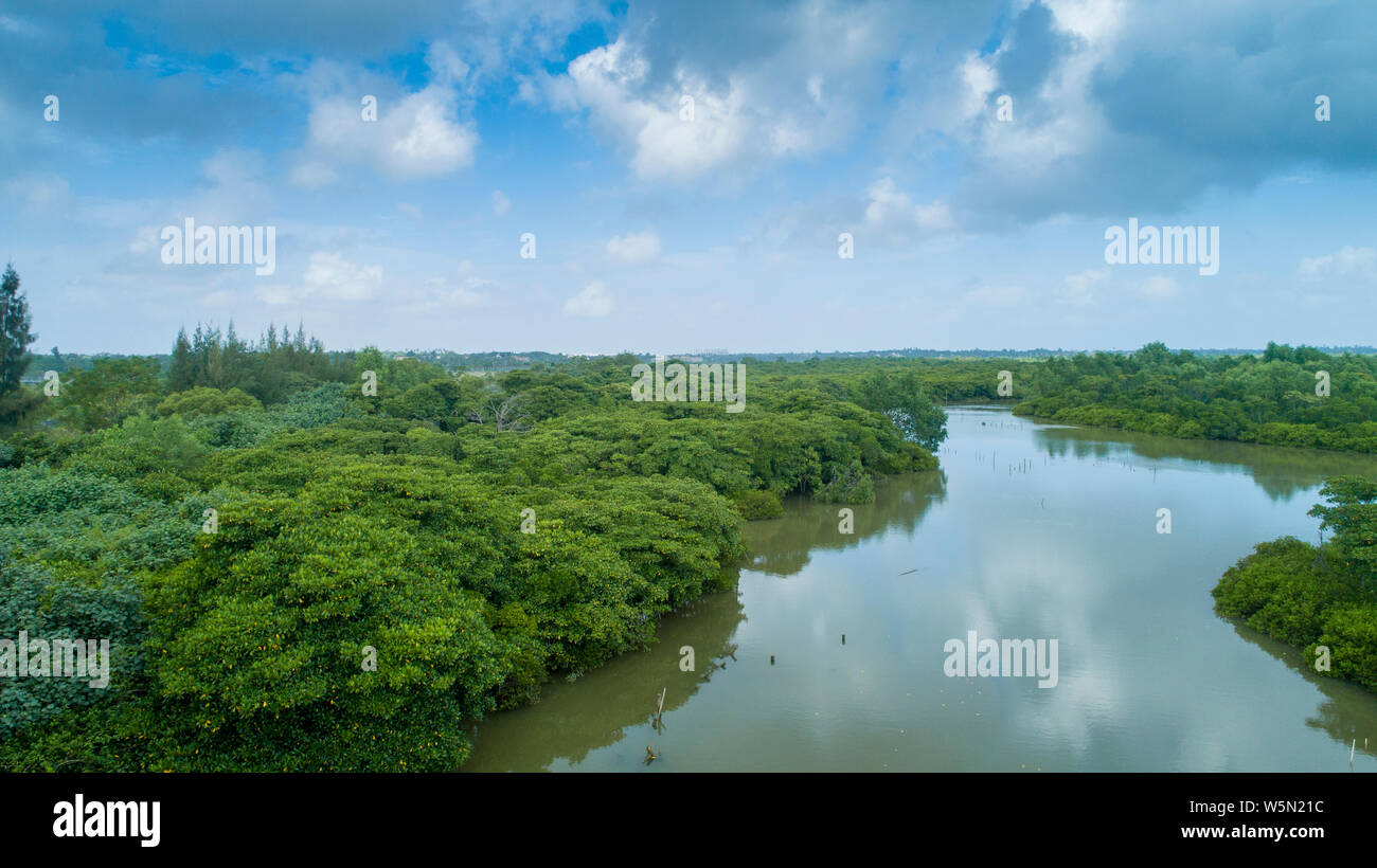 Mangrove nature reserve china hi-res stock photography and images - Alamy
