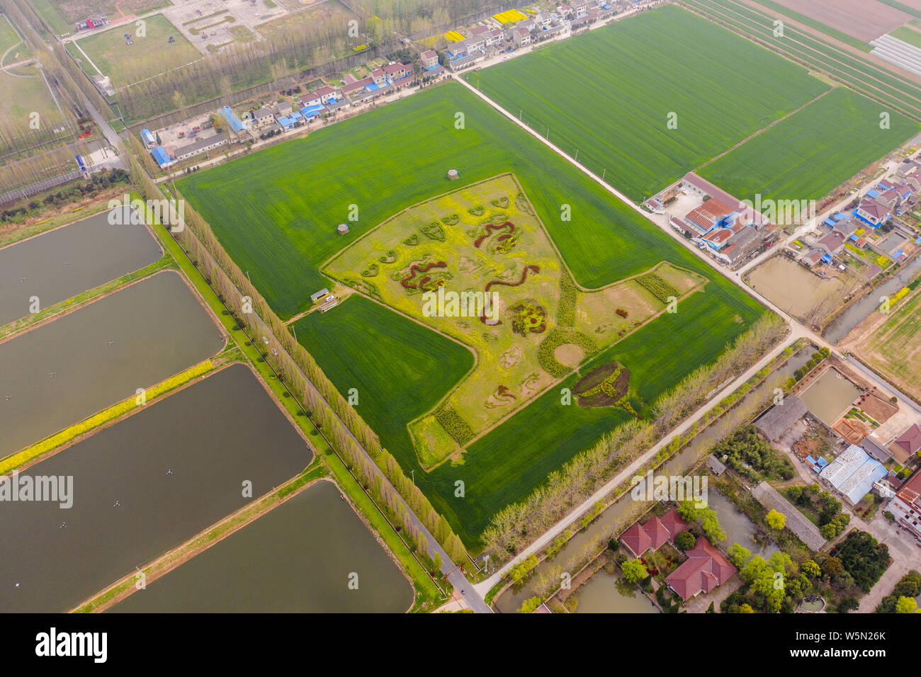 Aerial view of a huge painting of Longpao or Dragon robe (ancient ...