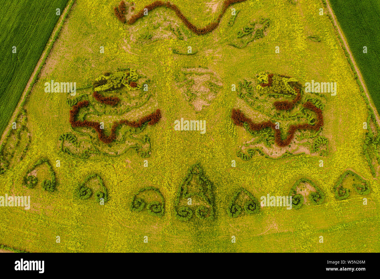 Aerial view of a huge painting of Longpao or Dragon robe (ancient ...