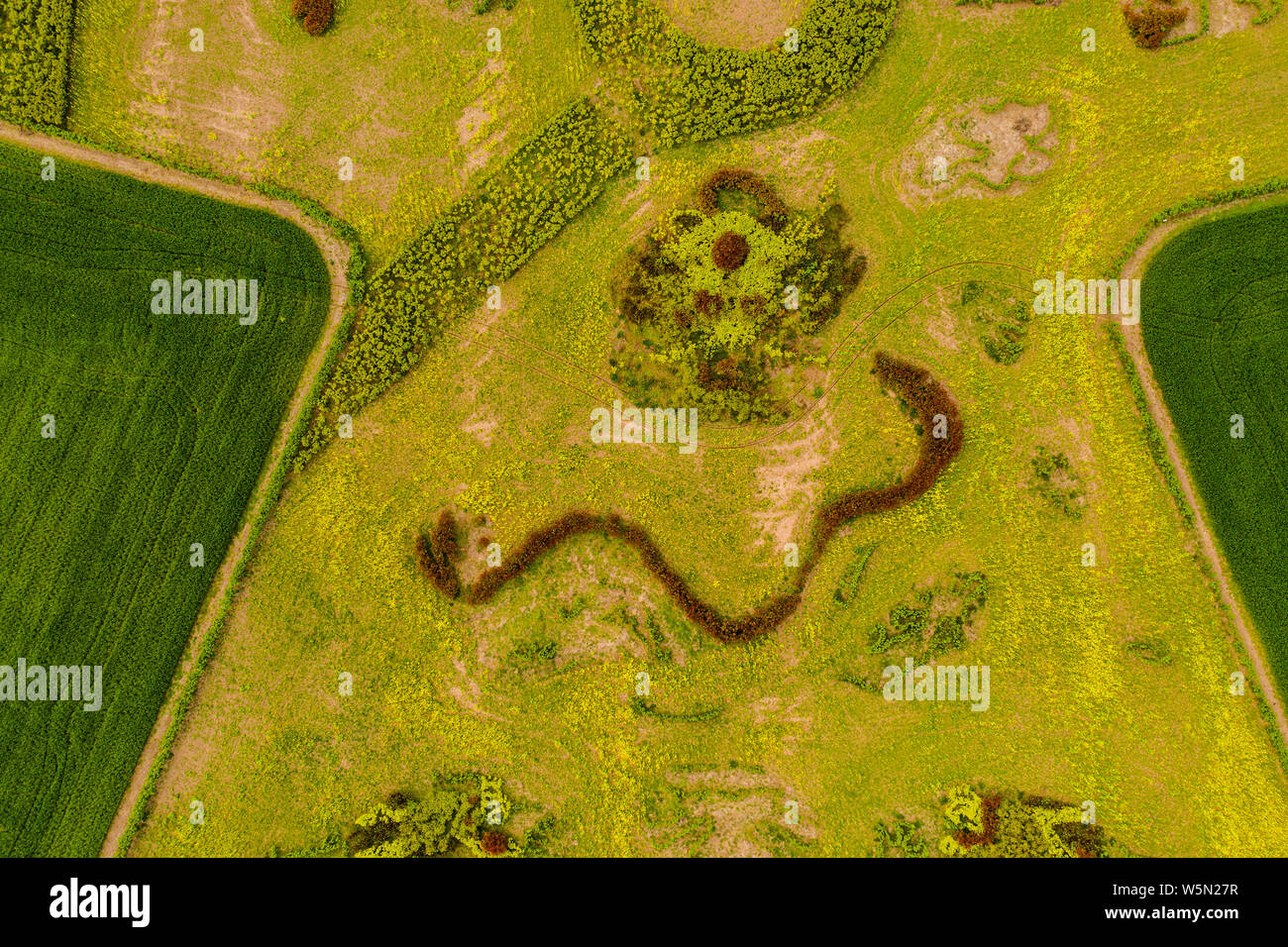 Aerial view of a huge painting of Longpao or Dragon robe (ancient ...