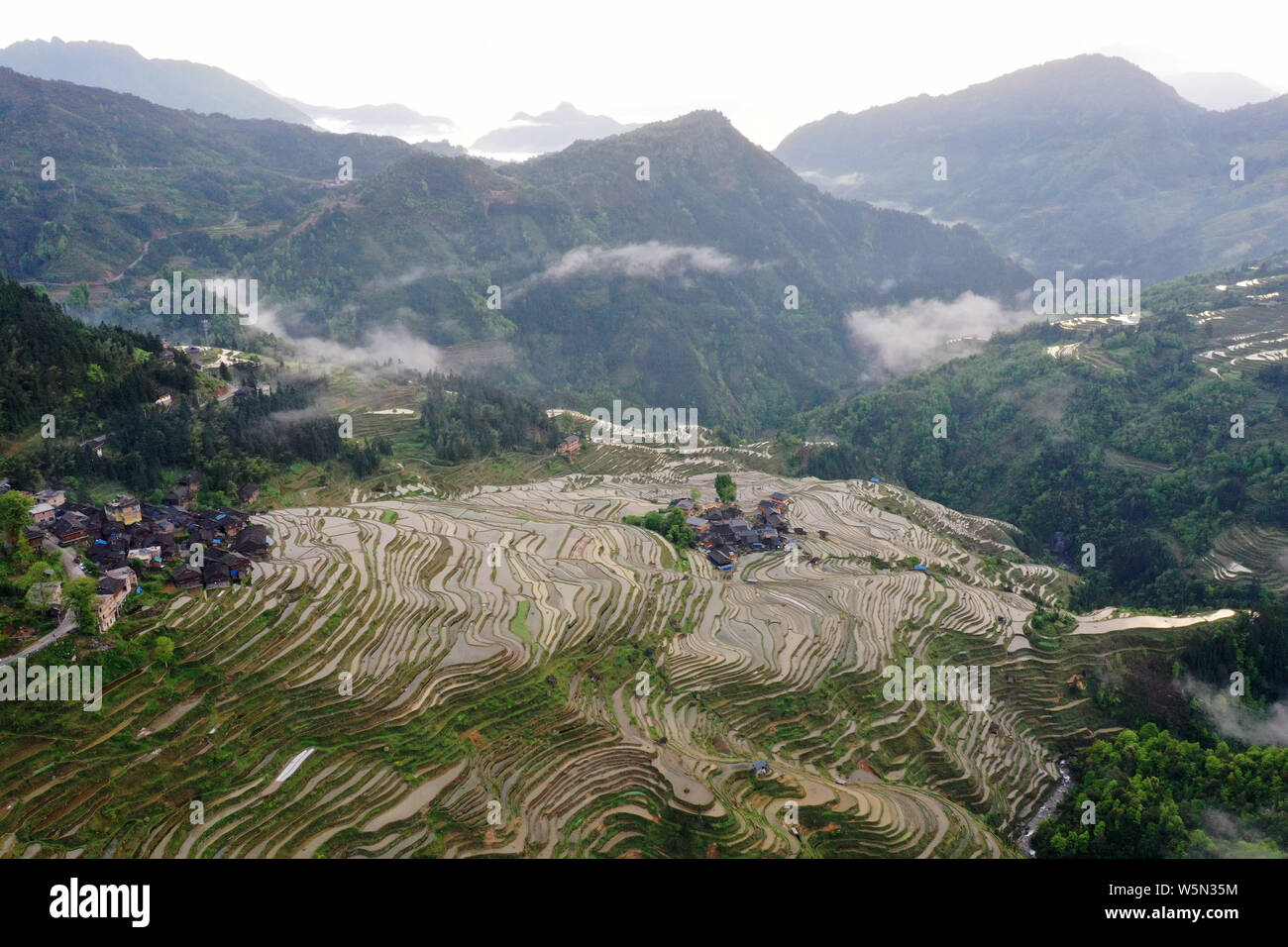 Aerial view of step-like terraced fields in Congjiang county ...
