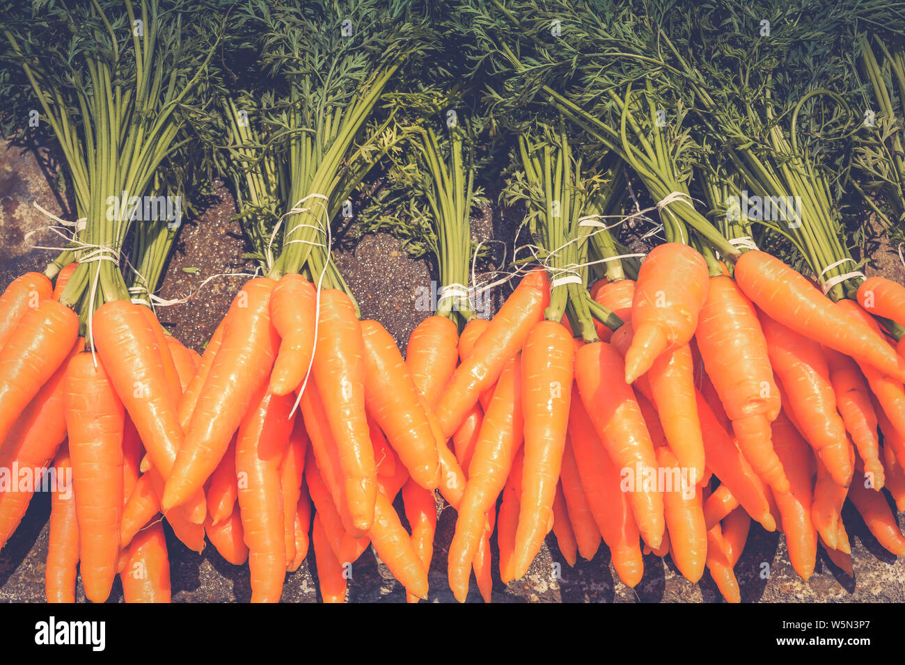 Fresh carrots for sale at a local farmers market Stock Photo - Alamy
