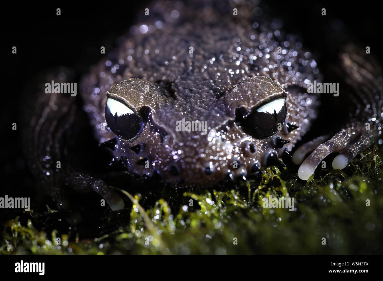 Ailao mountains hi-res stock photography and images - Alamy