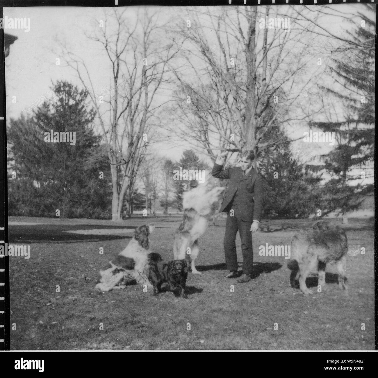 Franklin D. Roosevelt with four dogs in Hyde Park Stock Photo - Alamy