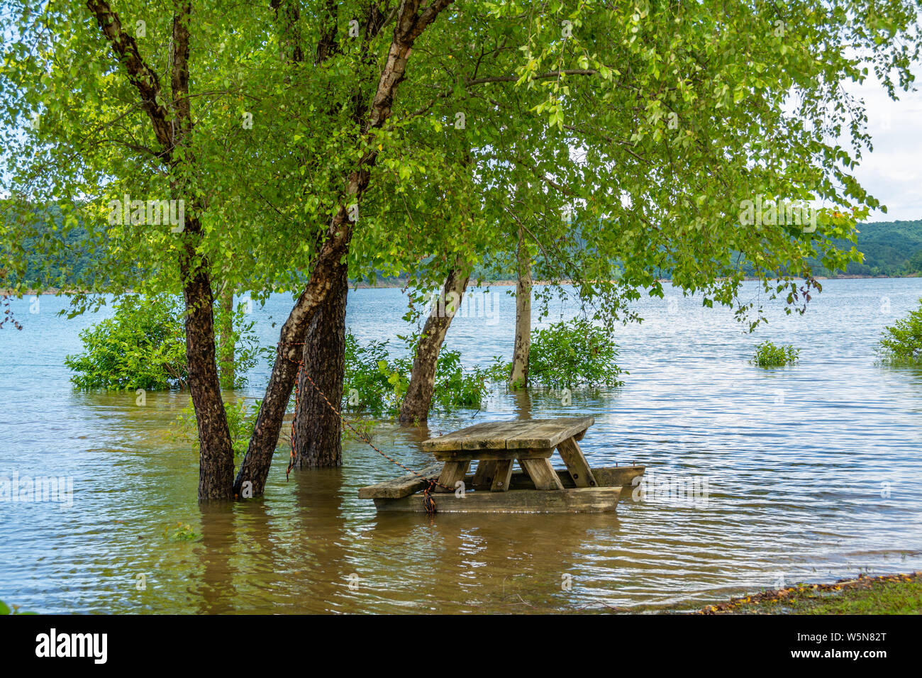 Picnic table park hi-res stock photography and images - Alamy