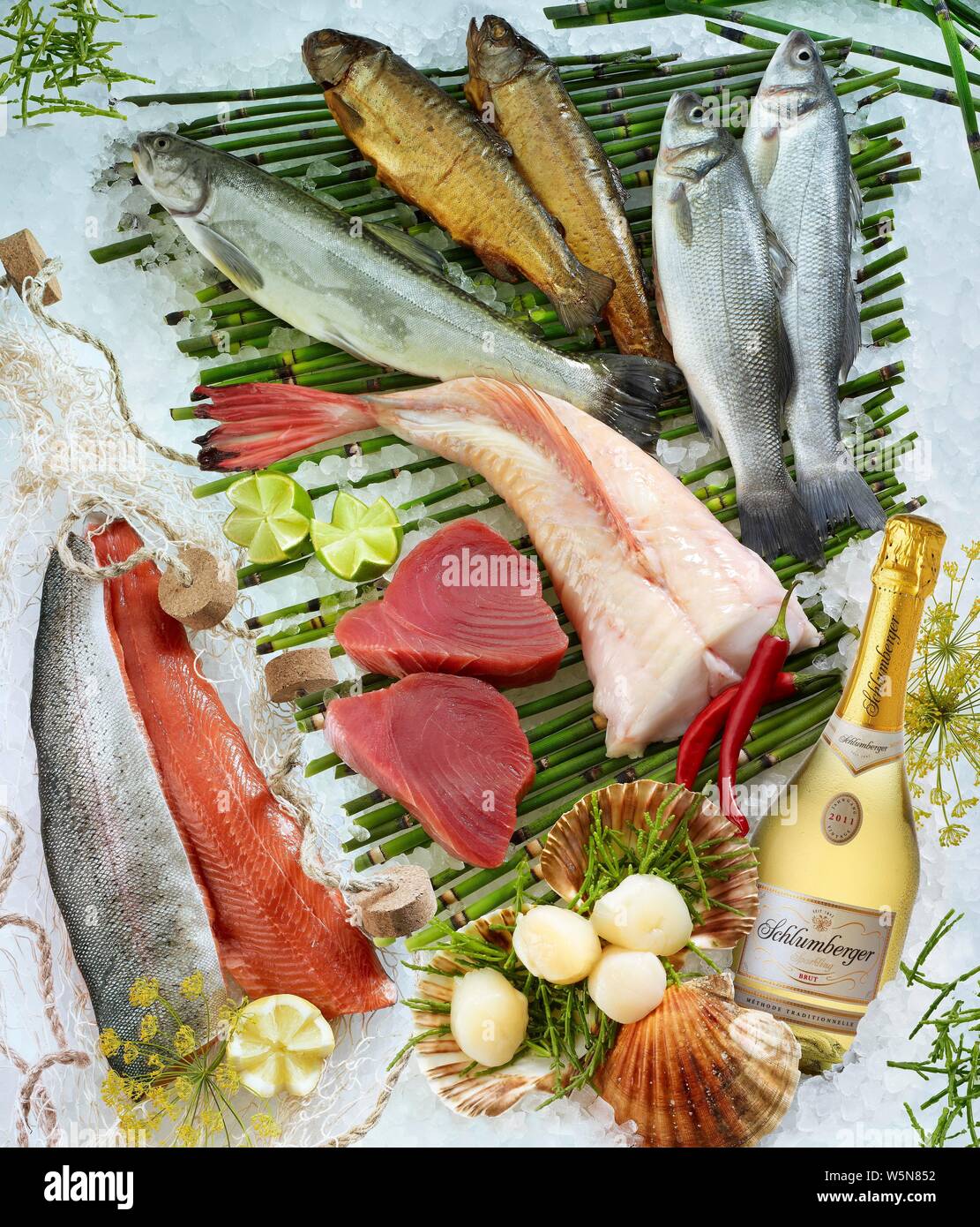Selection of various raw and smoked fish hi-res stock photography and ...