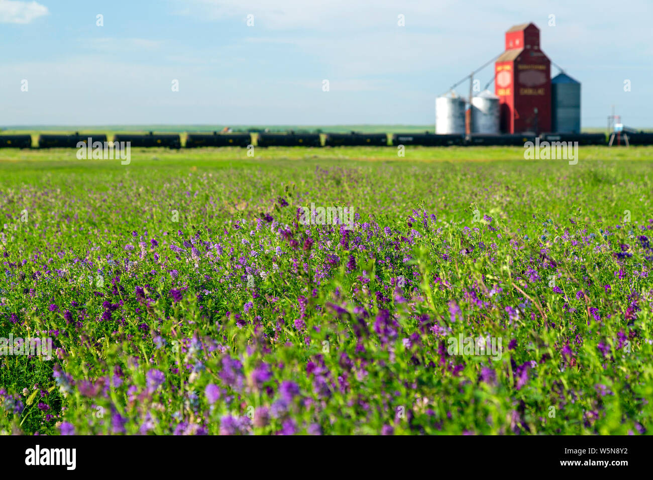 Saskatchewan Farm Landscape