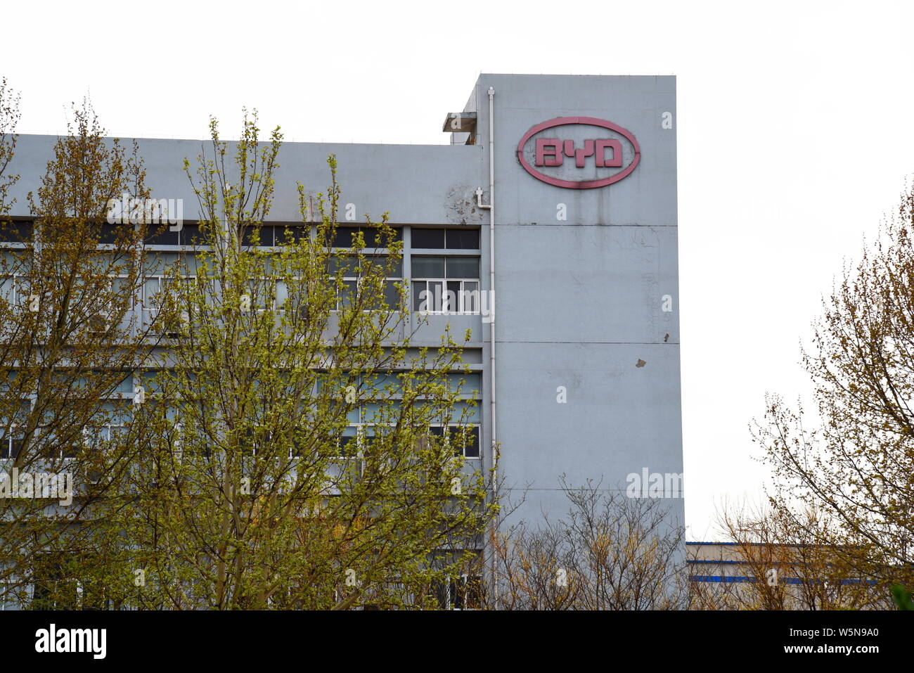 Byd plant hi-res stock photography and images - Alamy