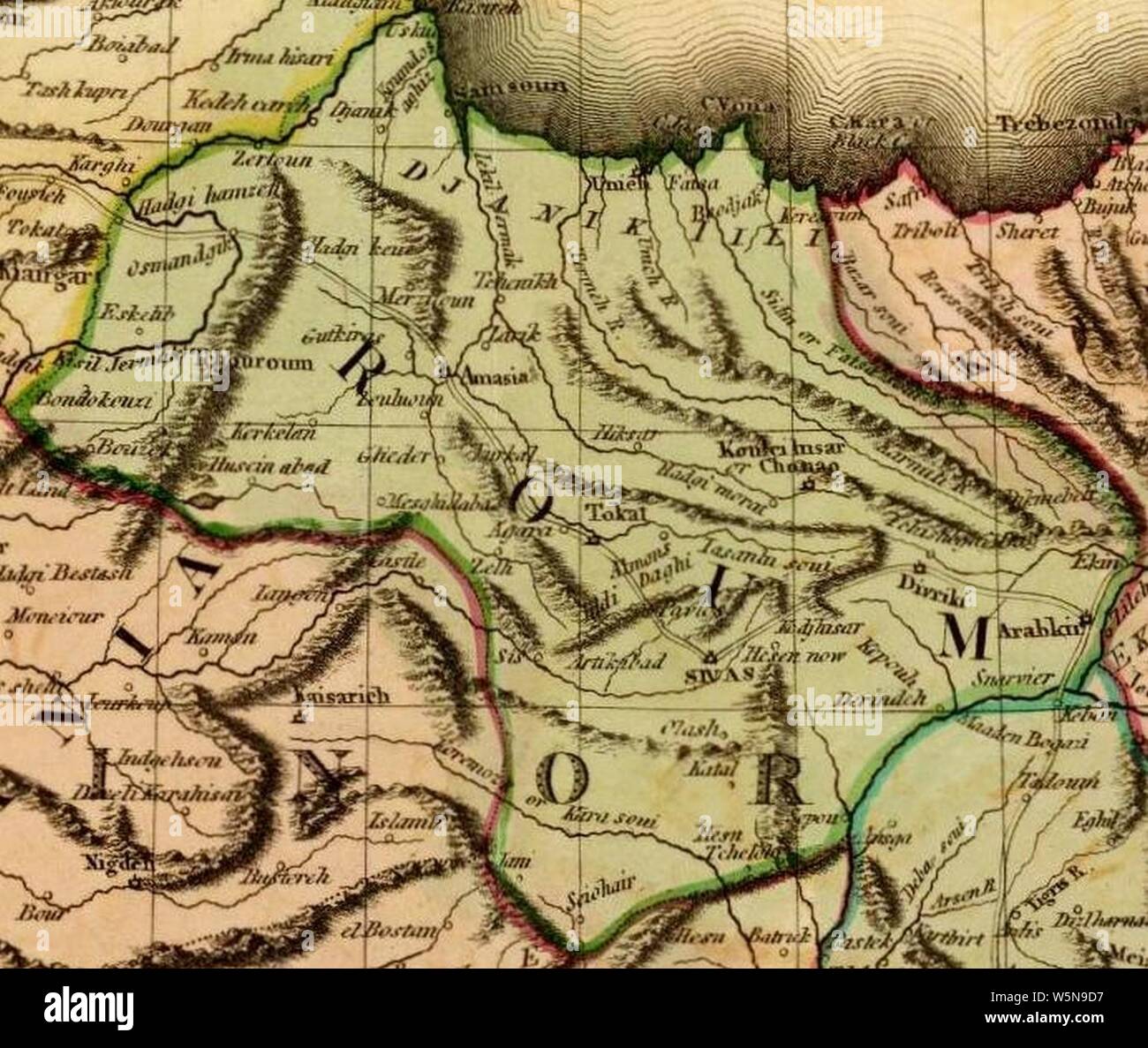 Lizars hi-res stock photography and images - Alamy