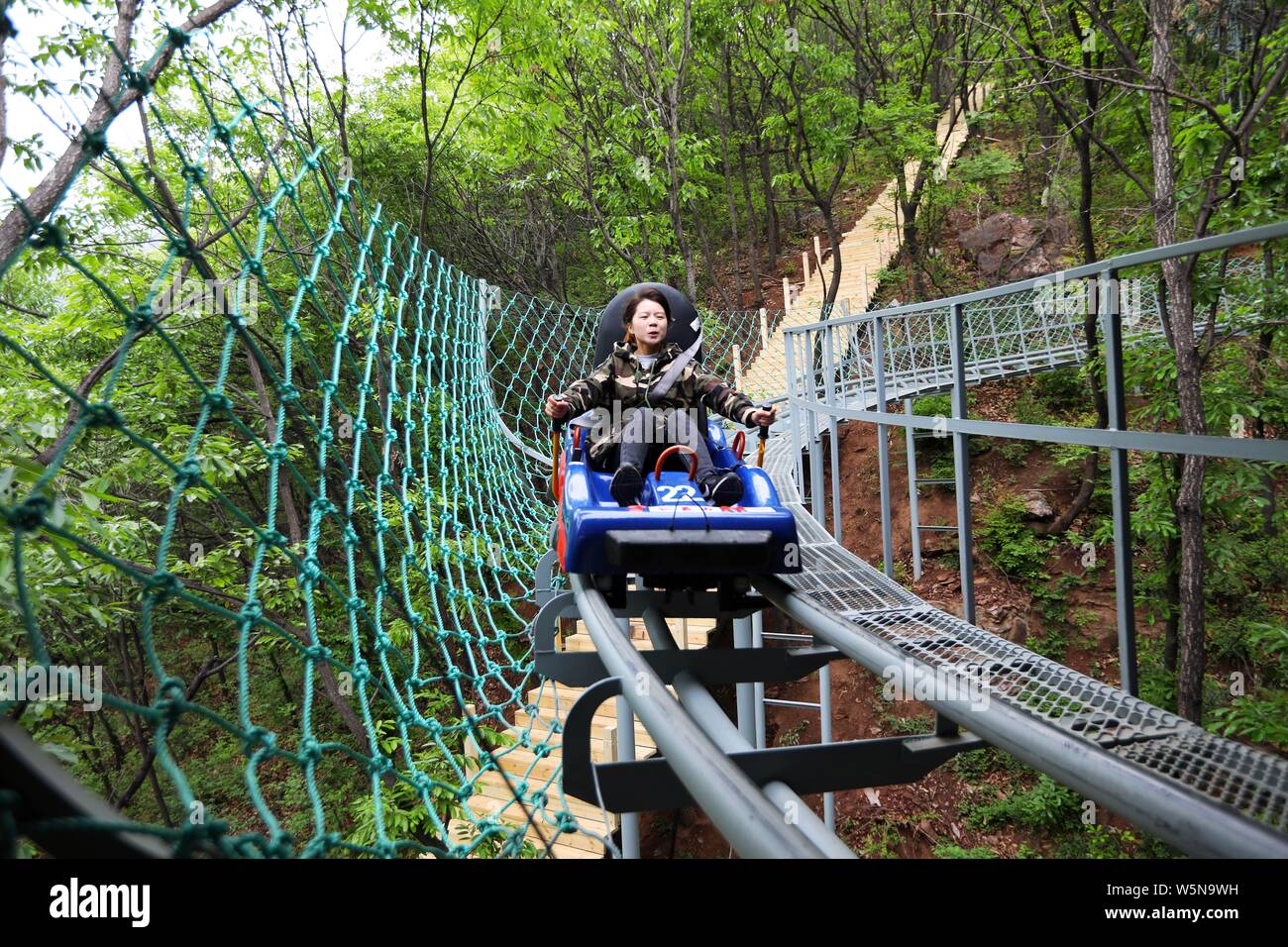 Tourists take a roller coaster ride cross over forests of the Fuxi ...