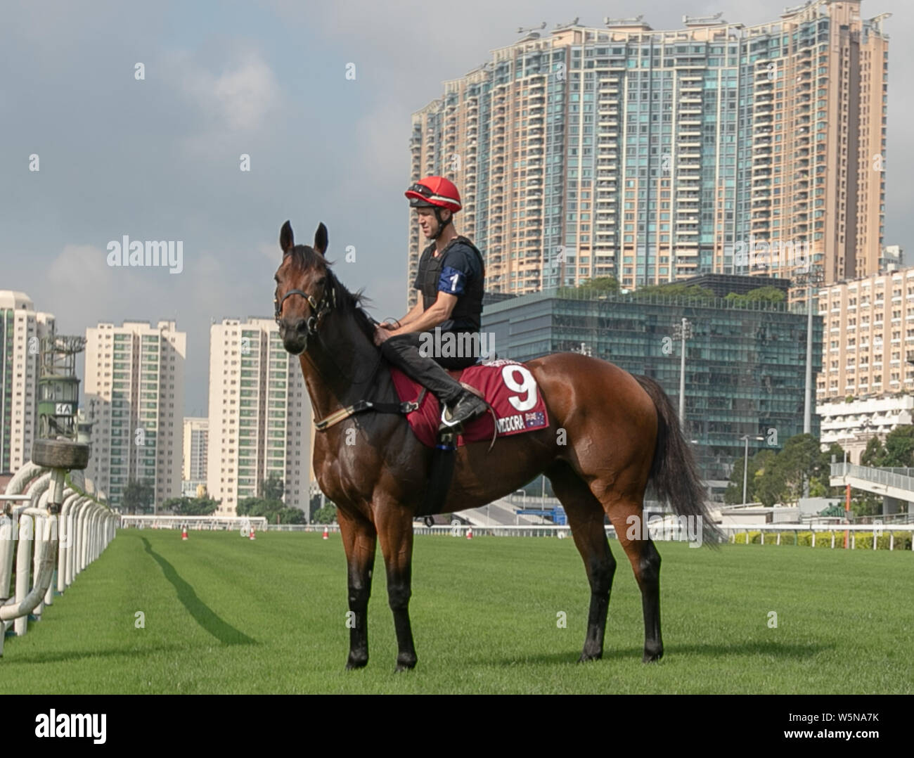 Paddy bell hi-res stock photography and images - Alamy