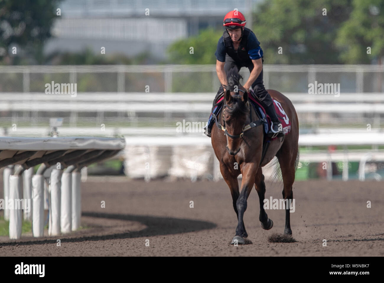 Trackwork hi-res stock photography and images - Alamy