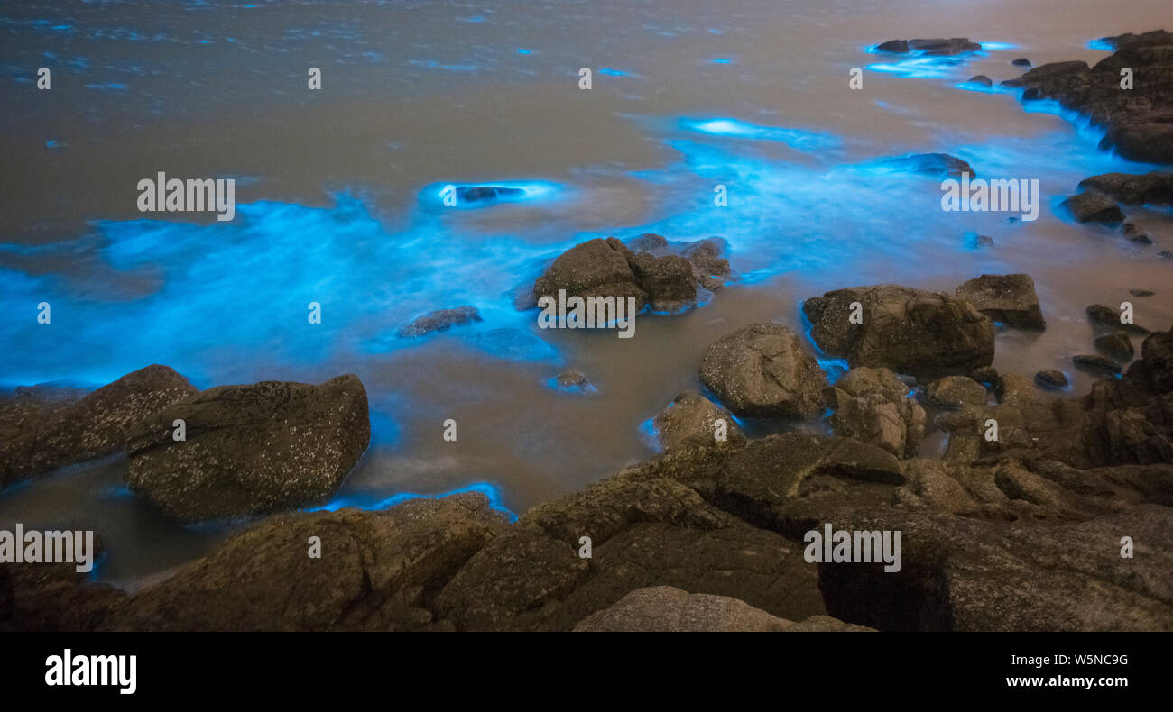 Algal bloom china sea hi-res stock photography and images - Alamy
