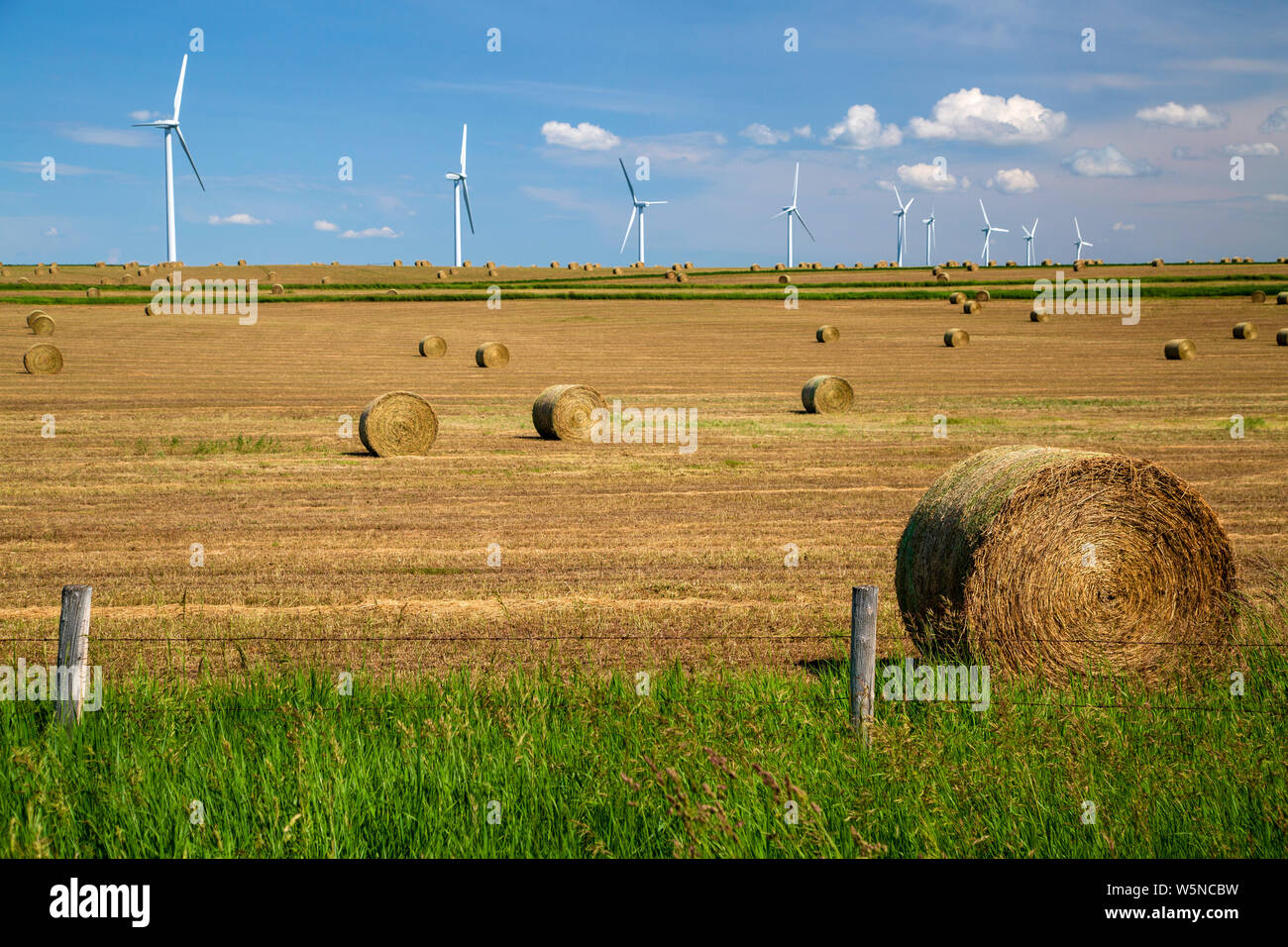 Renewable energy wind turbines in a harvested agricultural field with ...