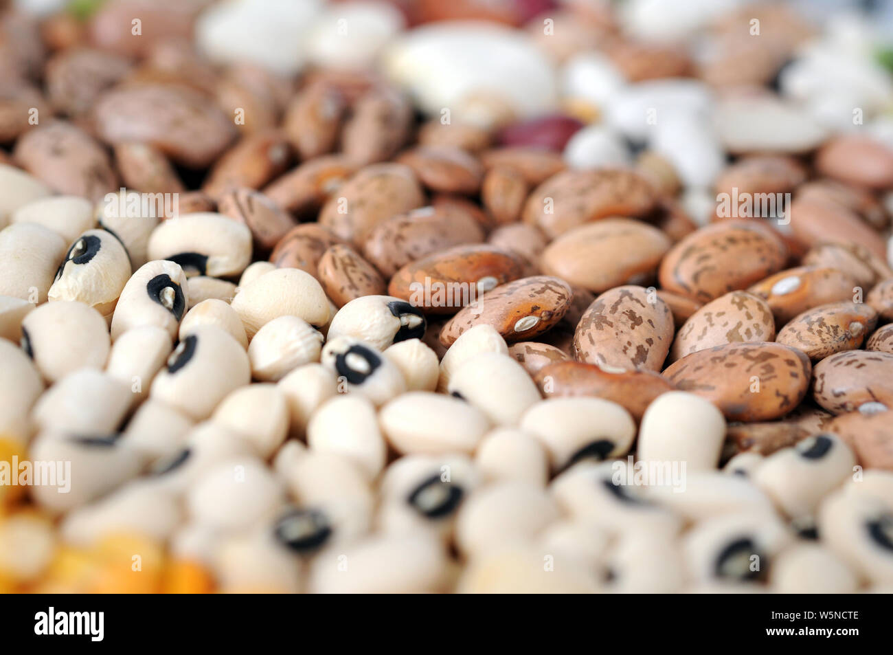 closeup mix of bean for background uses Stock Photo - Alamy
