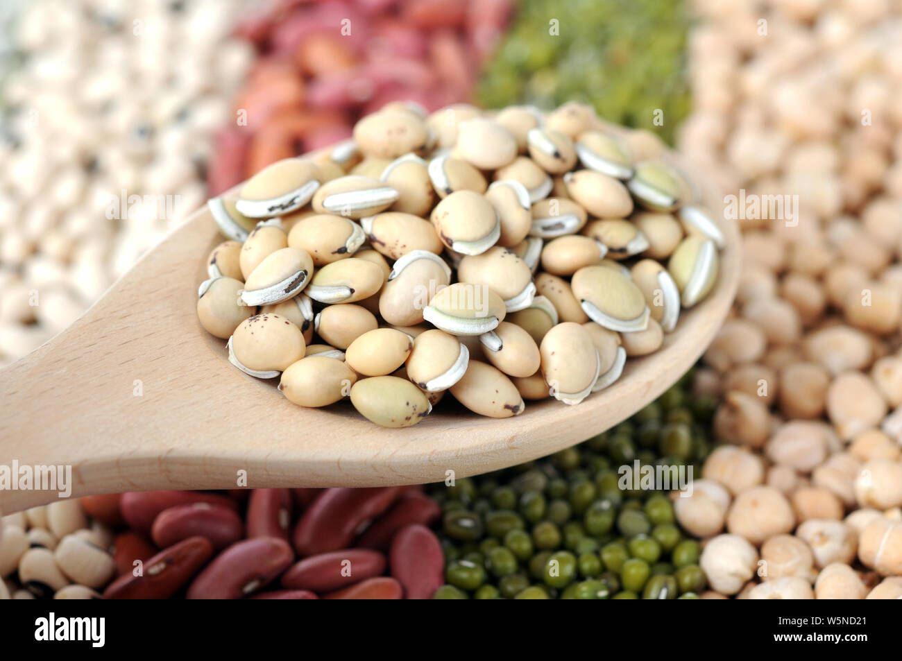 Lablab bean hi-res stock photography and images - Alamy
