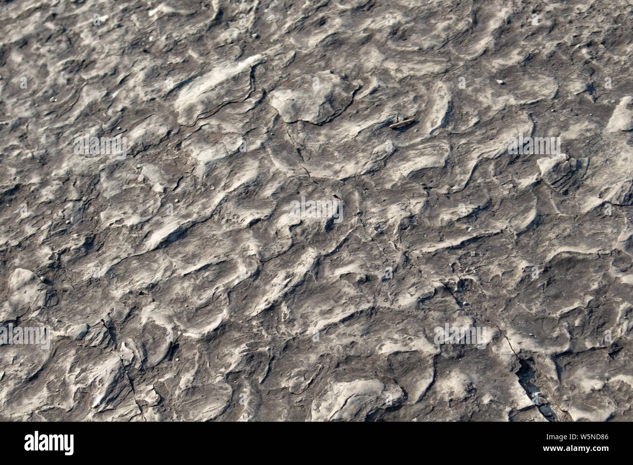 This rocky surface in Ottawa, with its interesting ripple texture, is ...