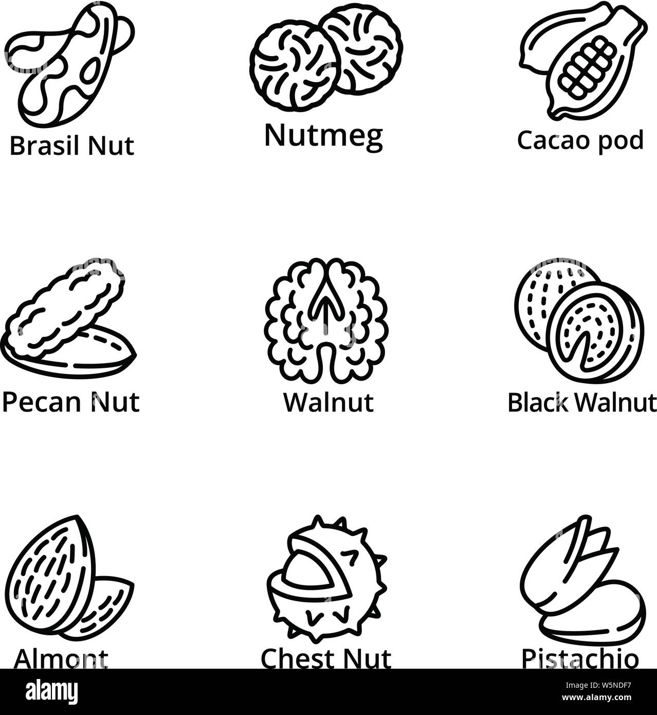 Nuts food icon set. Outline set of 9 nuts food vector icons for web ...