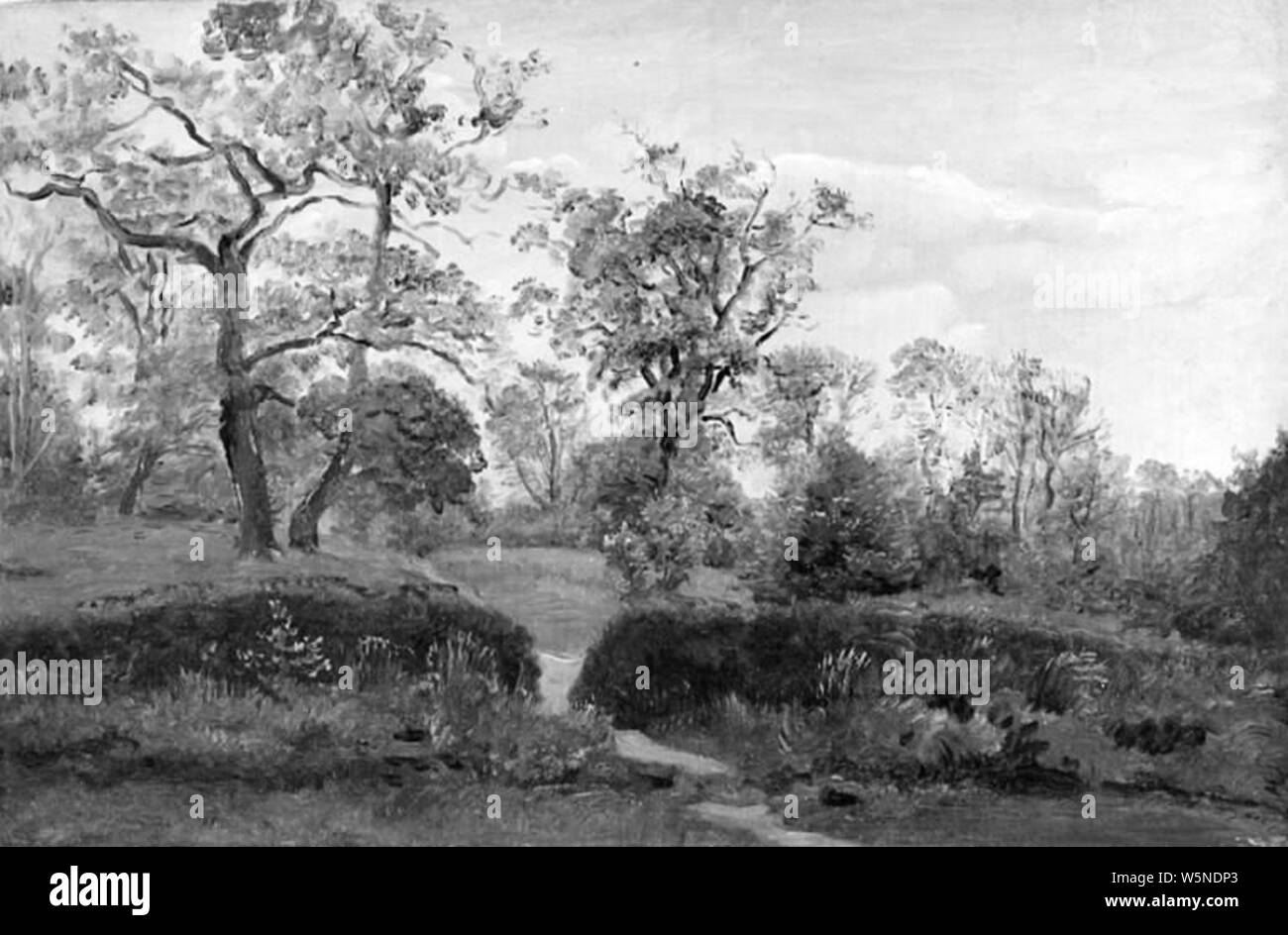 Fringe art Black and White Stock Photos & Images - Alamy