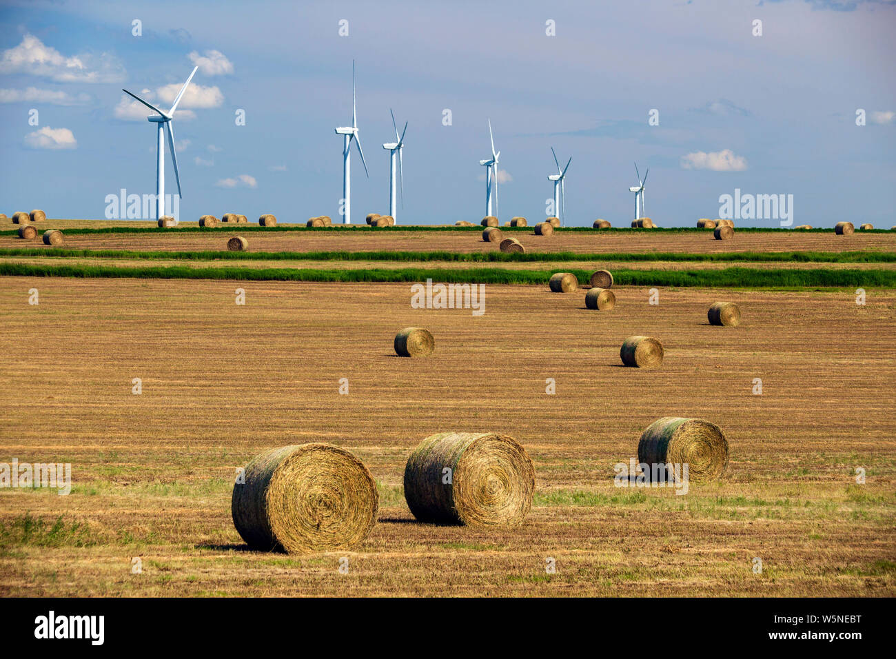 Renewable energy wind turbines in a harvested agricultural field with ...