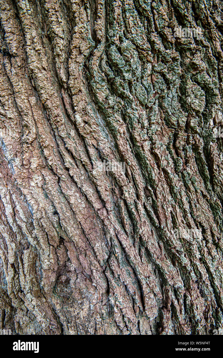 Deep grooves hi-res stock photography and images - Alamy