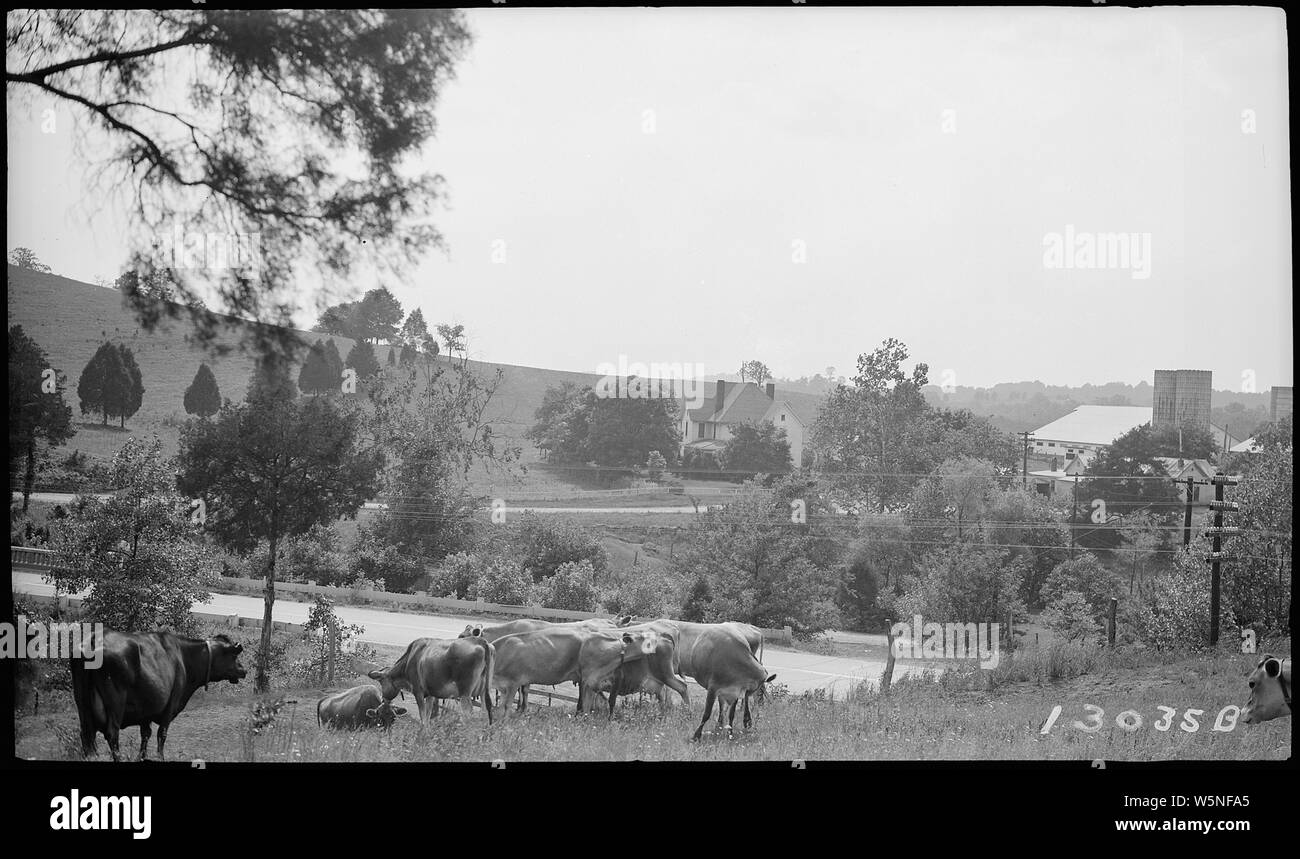 Haddox, James, dairy farm Stock Photo - Alamy