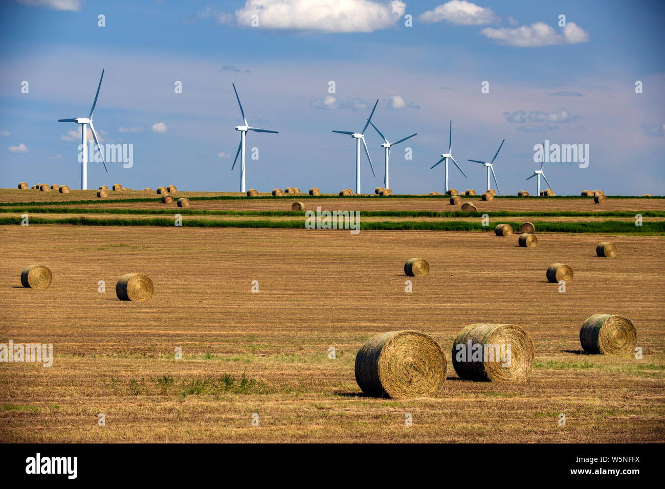 Renewable energy wind turbines in a harvested agricultural field with ...